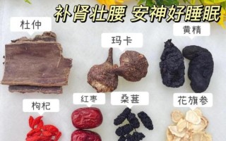 男人补肾最好炖什么汤_男人补肾汤怎么炖最补