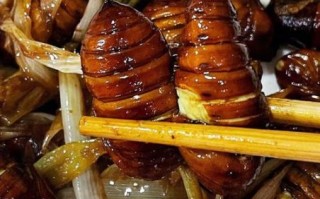 凉拌蚕蛹怎么做好吃_饭店凉拌蚕蛹的做法