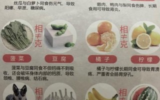 哪些食物不能一起吃_72种相克食物全解析