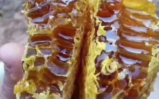 野生纯蜂蜜200一斤贵吗_值不值这个价
