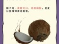 老椰子肉怎么吃_老椰子肉做法大全