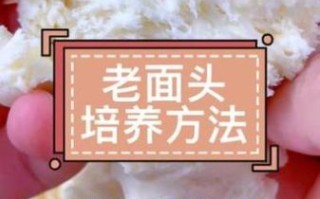 老面怎么保存_老面发面技巧有哪些