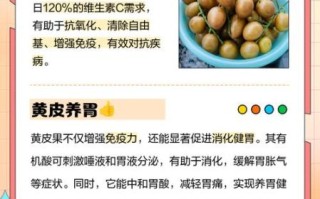 黄皮的功效与作用是什么_黄皮怎么吃最养人
