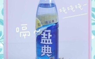 盐汽水怎么做_盐汽水的做法步骤