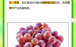 红提子的功效与禁忌_哪些人不能吃