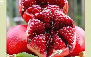 软籽石榴上火吗_软籽石榴吃多了会上火吗