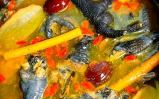 乌鸡汤怎么炖好喝又营养_乌鸡汤的做法大全家常