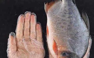 平鱼是大刺还是小刺_平鱼刺多吗