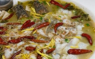 太二酸菜鱼用的什么鱼_鲈鱼还是草鱼