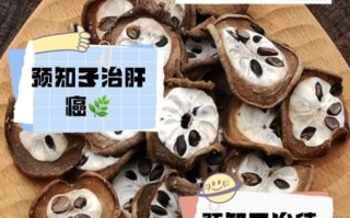 预知子的功效与作用_怎么吃效果最好