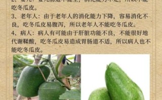 冬瓜皮泡水喝的禁忌_哪些人不能喝