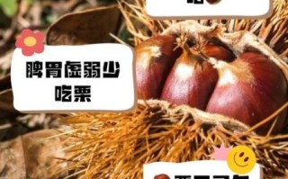 板栗什么人不能吃_哪些体质要忌口