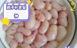 鸡子的功效与作用_鸡子怎么做好吃又营养