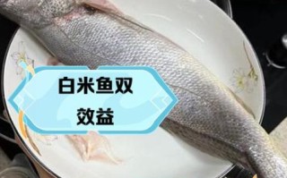 米鱼的营养价值_米鱼适合什么人吃