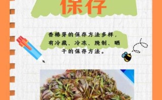 春季蔬菜有哪些_春季蔬菜怎么保存