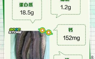 黑鱼的营养价值_黑鱼吃了有什么好处