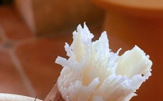 烤山药的做法_烤箱需要多少分钟