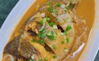 红烧鲈鱼怎么做_红烧鲈鱼的家常做法