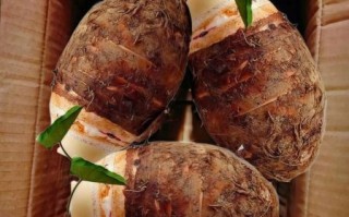 广西荔浦芋头几月上市_荔浦芋头最佳采摘时间