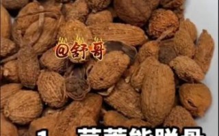 草寇图片_草寇香料怎么用