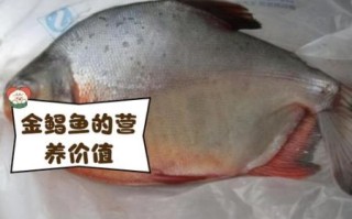 金鲳鱼多少钱一斤_金鲳鱼价格最新行情