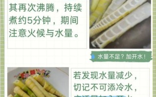 竹笋要焯水吗_竹笋焯水多久才安全