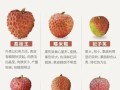 荔枝品种哪个好_妃子笑和桂味谁更甜