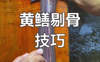 黄鳝要先开水烫死再杀吗_黄鳝怎么处理干净