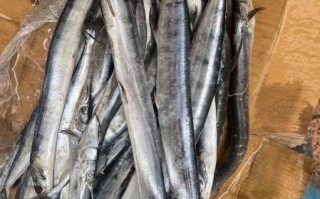 针嘴鱼多少钱一斤_针嘴鱼价格行情 针嘴鱼多少钱一斤_针嘴鱼价格行情