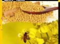 花粉怎么吃效果好_花粉的正确吃法