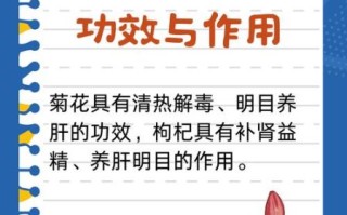 菊花茶的功效与作用_枸杞泡水可以天天喝吗