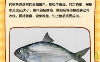 鲥鱼图片大全_如何分辨真假鲥鱼