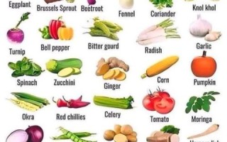 蔬菜的英语怎么读_vegetable发音技巧