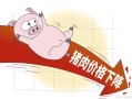 猪肉价格为何一降再降_未来还会再跌吗