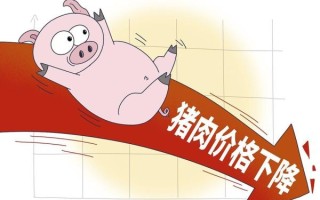 猪肉价格为何一降再降_未来还会再跌吗