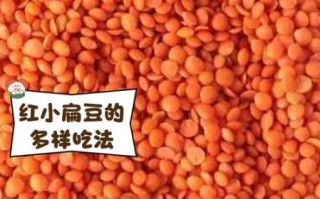 红小扁豆怎么做好吃_红小扁豆的营养价值 红小扁豆怎么做好吃_红小扁豆的营养价值