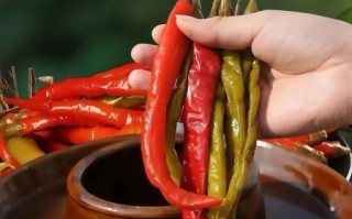 鲜辣椒怎么腌制又脆又辣_鲜辣椒腌制做法大全