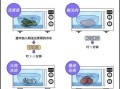 微波炉能做什么菜_微波炉有哪些隐藏功能