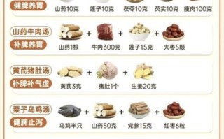 清淡养胃汤的做法大全_养胃汤怎么做最养胃