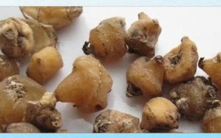 山慈菇的功效与作用_山慈菇图片长什么样