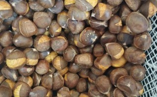 新鲜板栗怎么保存冷冻_冷冻板栗能放多久