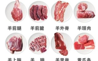 羊肉和猪肉能一起吃吗_一起吃会不会上火