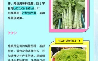 青笋和莴笋一样吗_青笋与莴笋的区别