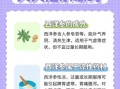花旗参泡水喝的功效与作用_花旗参泡水适合什么人喝