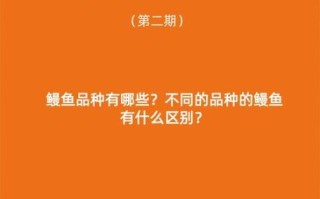 鳗鲡怎么读_鳗鲡和鳗鱼区别