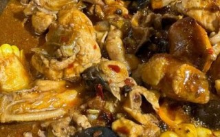 鸡肉煲汤用什么材料_鸡肉煲汤怎么煲才好吃