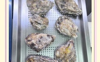 烤箱蒜蓉生蚝怎么做_烤箱蒜蓉生蚝需要多久