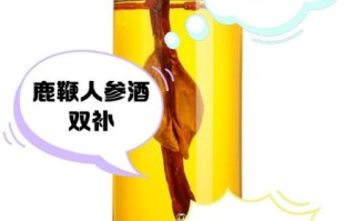 鹿鞭泡酒壮阳配方大全_鹿鞭泡酒多久可以喝
