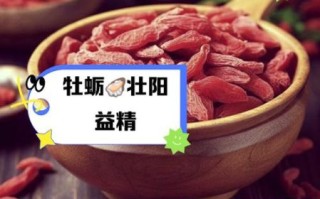 补肾壮阳药材有哪些_如何正确服用