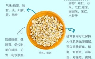 薏仁是什么东西_薏仁的功效与作用